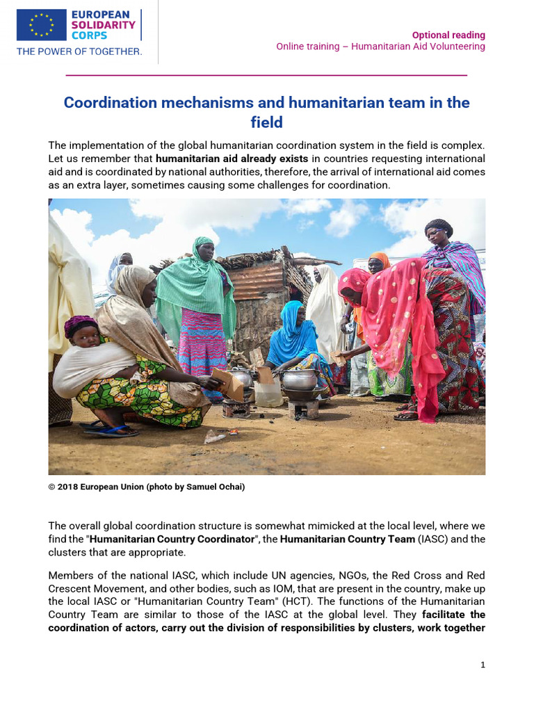 Coordination Mechanisms of The UN System | PDF | Emergency Management