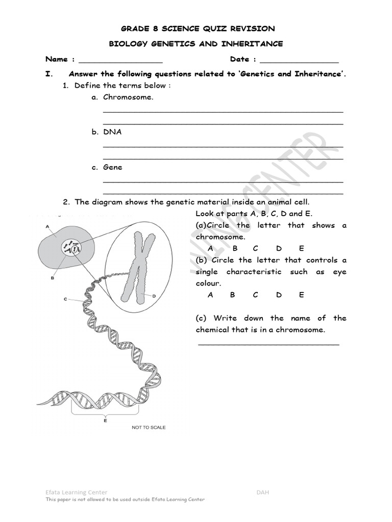 Grade 8 Science Quiz Revision Biology Genetics | PDF | Sex | Genetics