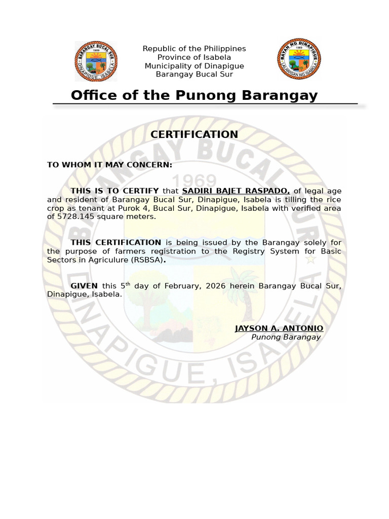 Certification of RSBSA | PDF