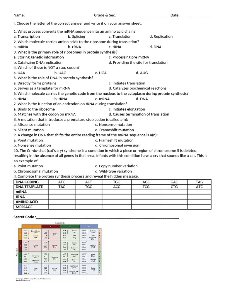 Quiz Protein Synthesis | PDF | Translation (Biology) | Genetic Code