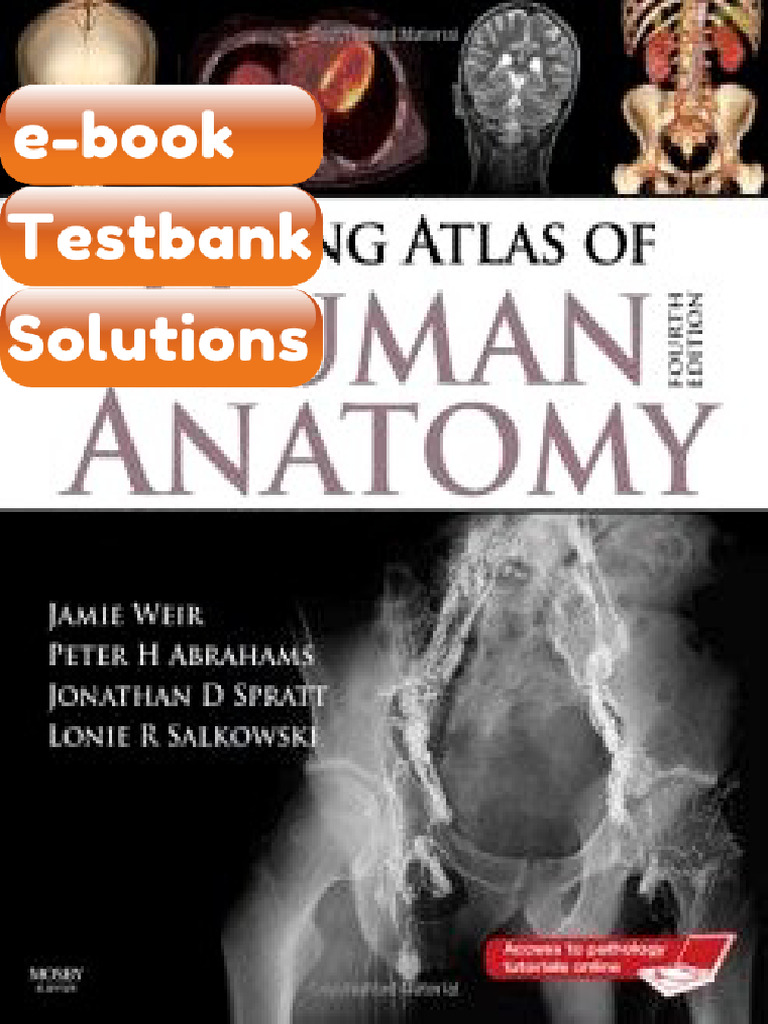 Testbank Imaging Atlas of Human Anatomy 4th Fast Download | PDF ...