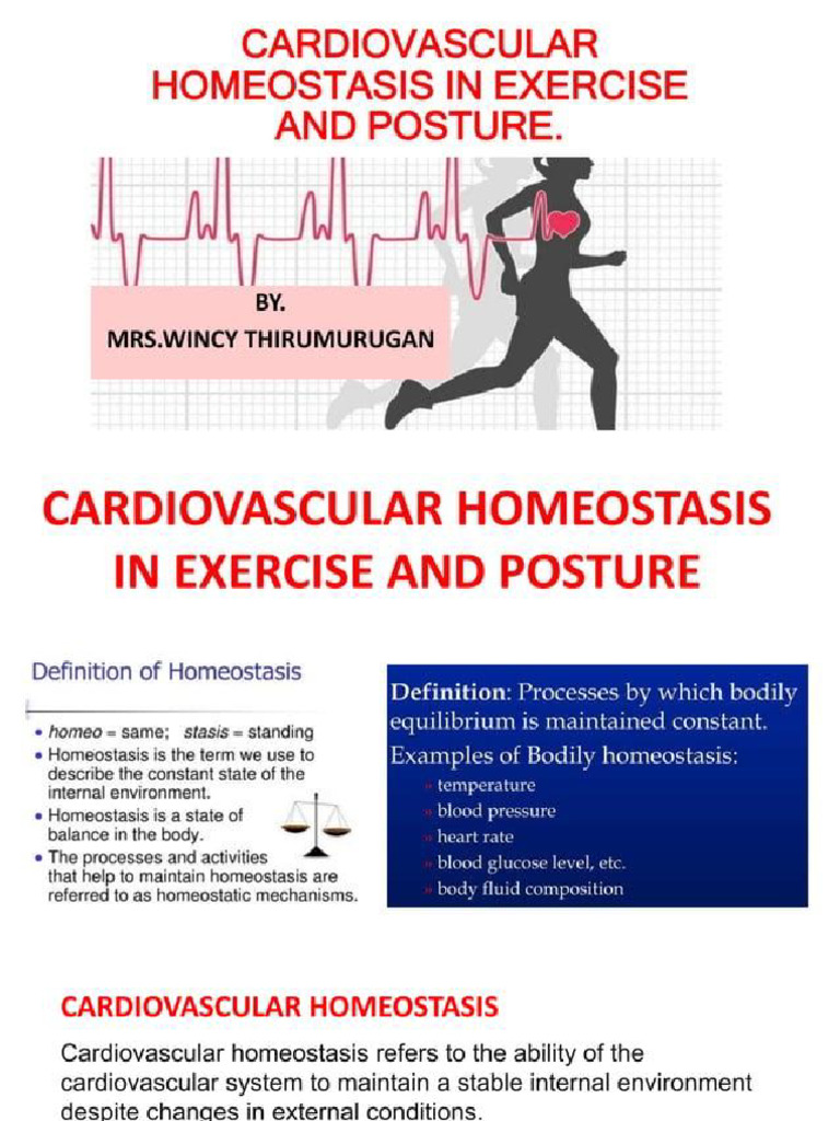 Cardiovascular Homeostasis in Exercise and Posture Pptx | PDF