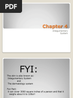 Dermatology Flap CPT Codes Guide | PDF | Teaching Methods & Materials ...