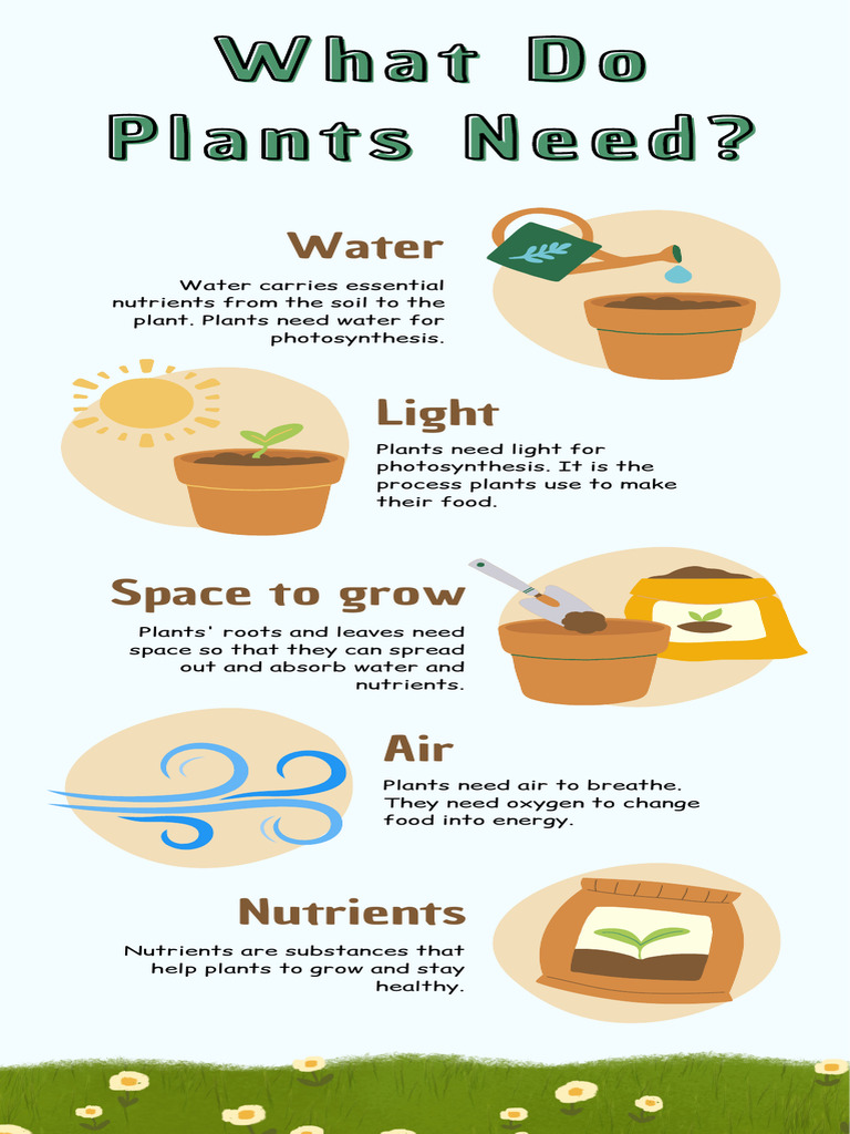 Plants Needs To Grow (1) | PDF