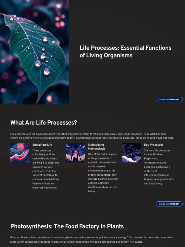 Life Processes Essential Functions of Living Organisms | PDF | Cellular ...