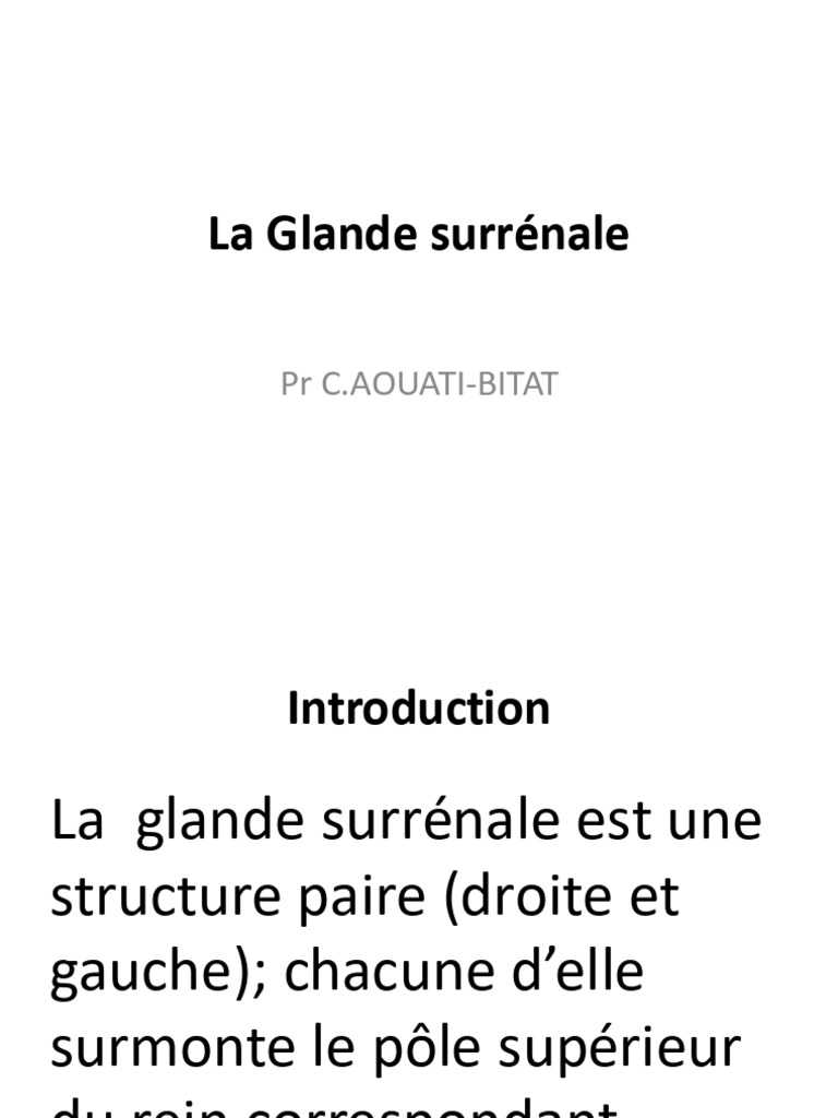 2 - La Glande Surrénale - PR - aouaTI | PDF | Glande surrénale ...