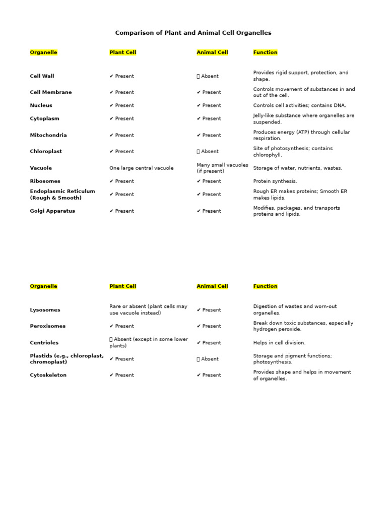 Comparison of Plant and Animal Cell Organelles | PDF | Cell (Biology ...