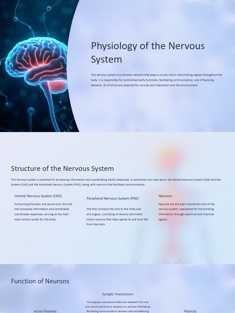 Physiology of The Nervous System | PDF | Nervous System | Central ...