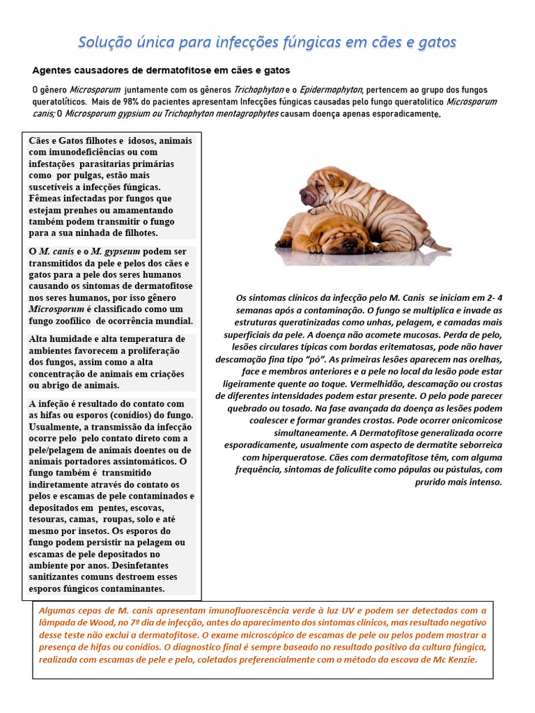 Folheto IMUNOCAN Dermatofitose 2021 | PDF | Fungo | Infecção