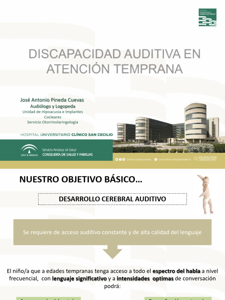 Presentación DS Auditiva - Jose Pineda | PDF | Sonido | Escuchando