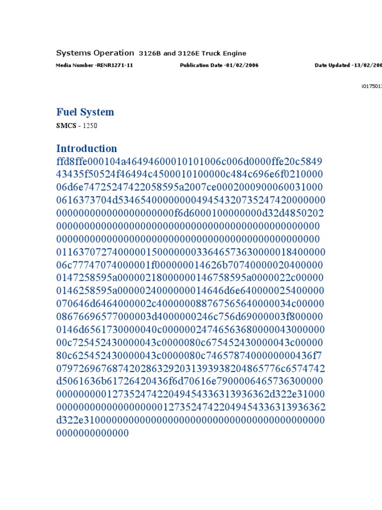 HEUI Fuel System Overview for 3126 Engines | PDF | Fuel Injection ...
