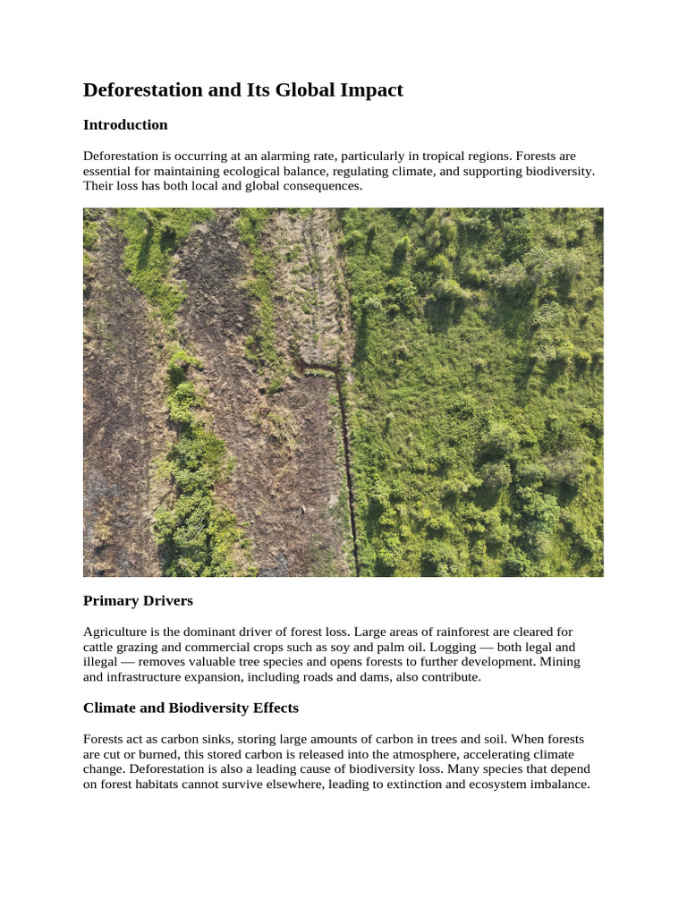 Deforestation and Its Global Impact | PDF