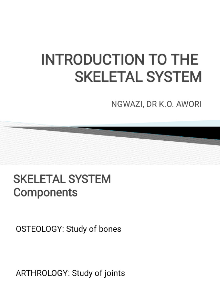 Introduction To The Skeletal System | PDF
