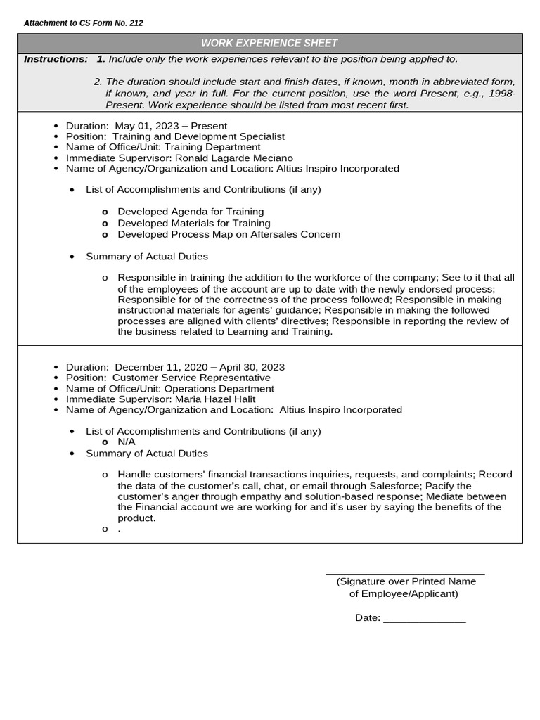 Work Experience Sheet | PDF | Computing