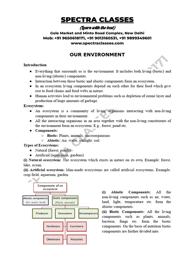 Our Environment Class 10th | PDF | Ozone Depletion | Chlorofluorocarbon