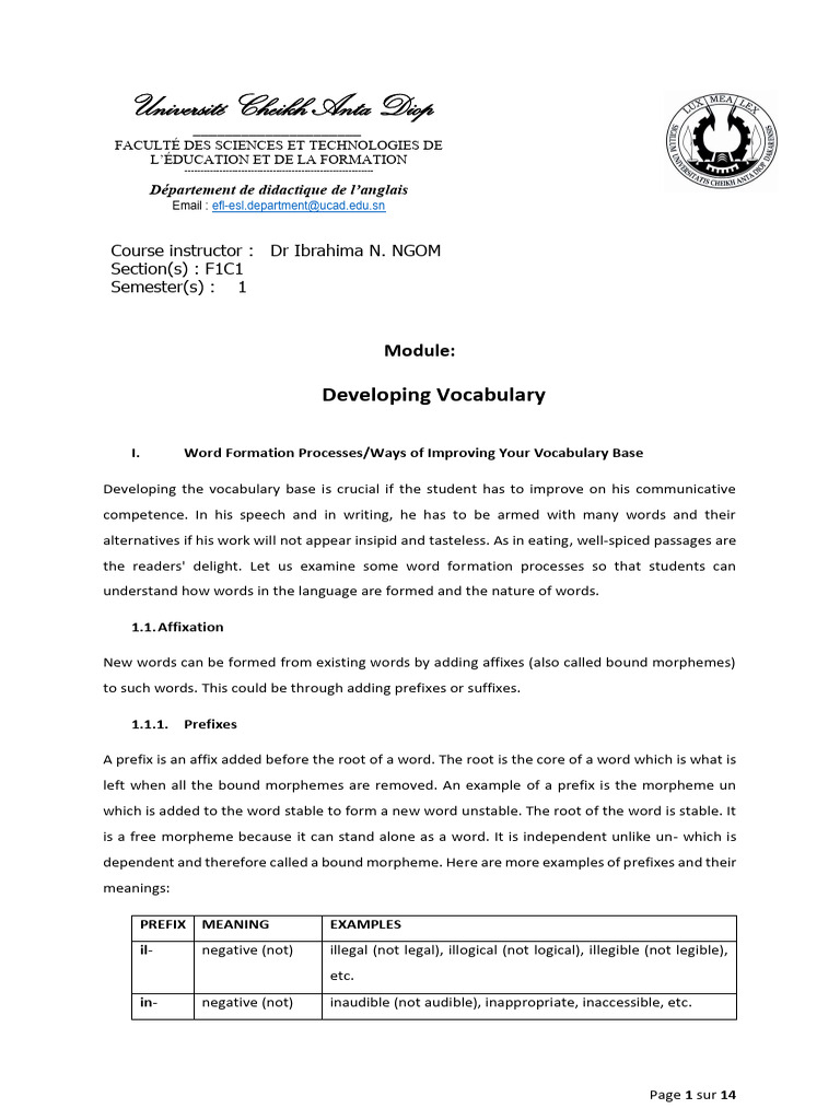 Developing Vocabulary Module | PDF | Adverb | Word