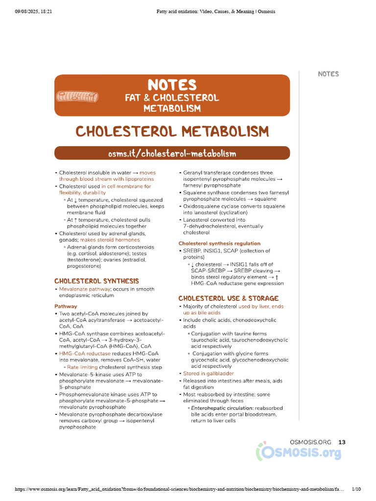 Fatty Acid Oxidation_ Video, Causes, & Meaning _ Osmosis | PDF ...