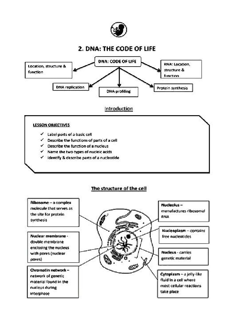 Life Science Notes | PDF