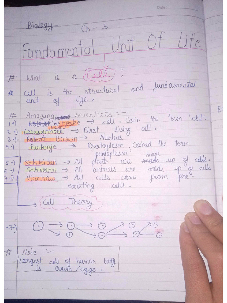 Class 9th Science Chapter 5 | PDF