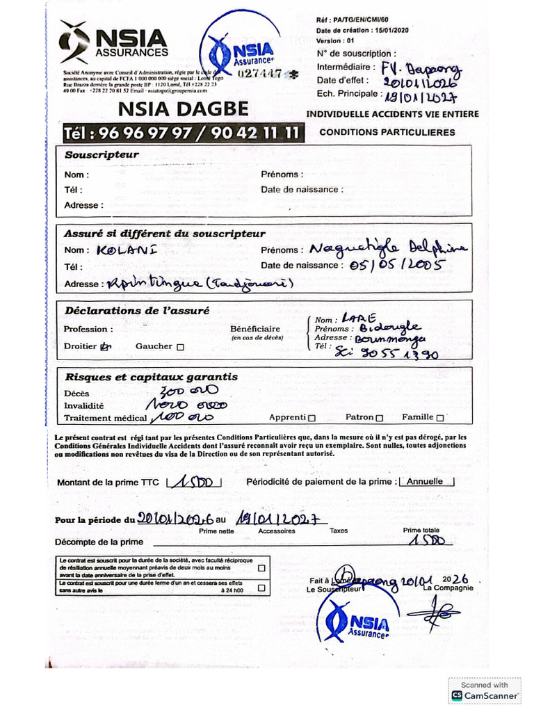 Assurance Kolani Delphine | PDF