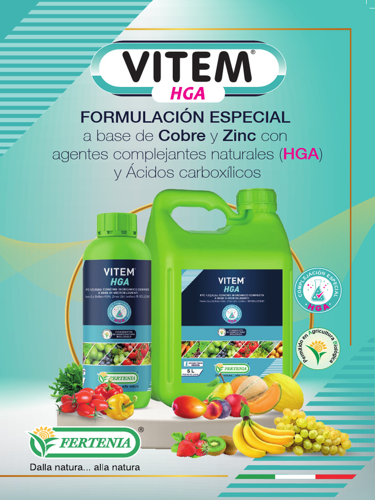 Vitem Hga Spa | PDF