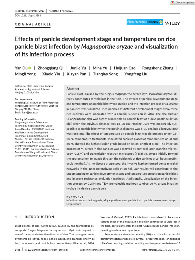 Plant Pathology - 2021 - Du - Effects of panicle development stage and ...