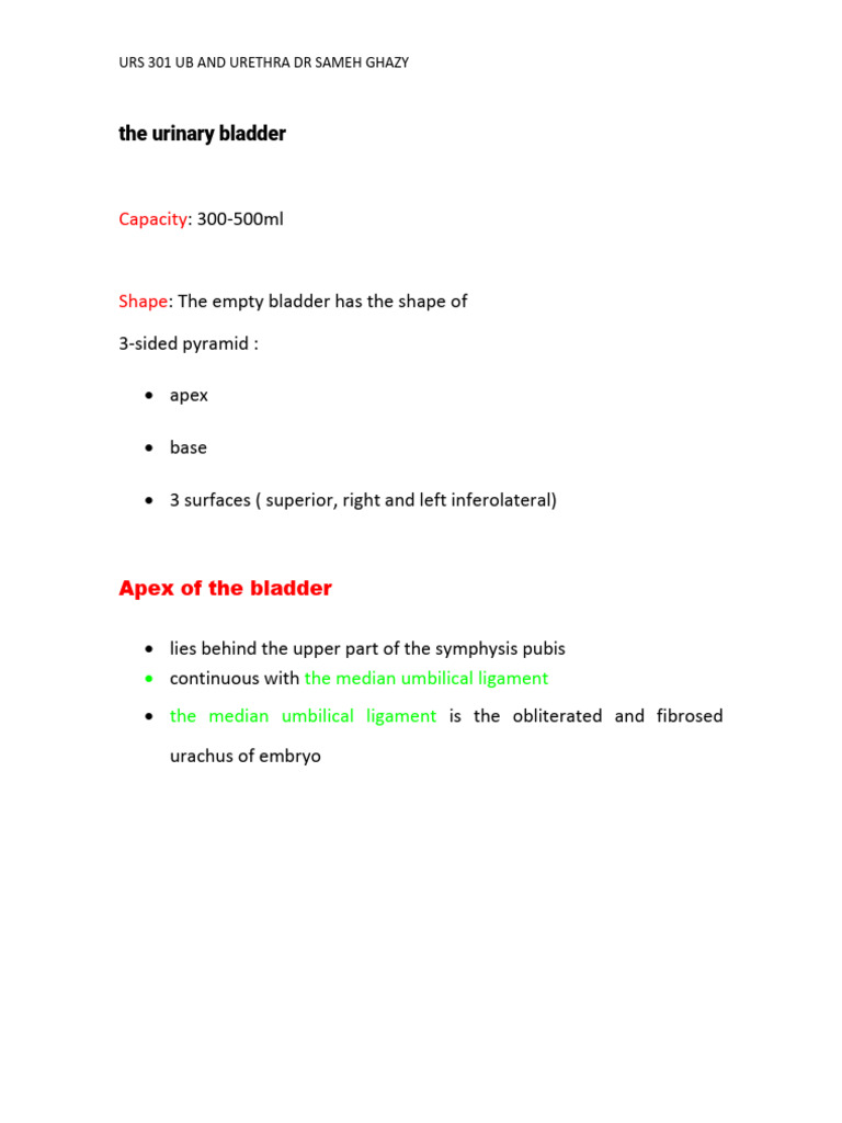 Urs 301 Ub and Urethra DR Sameh Ghazy | PDF | Prostate | Labia