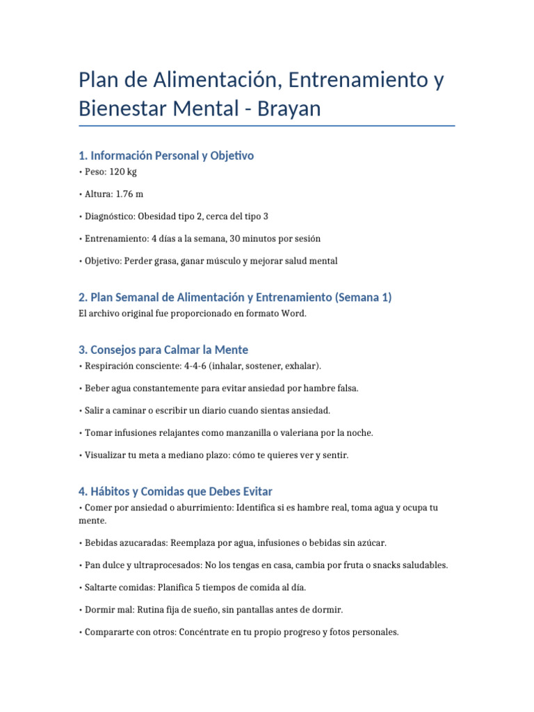 Plan Completo Brayan | PDF