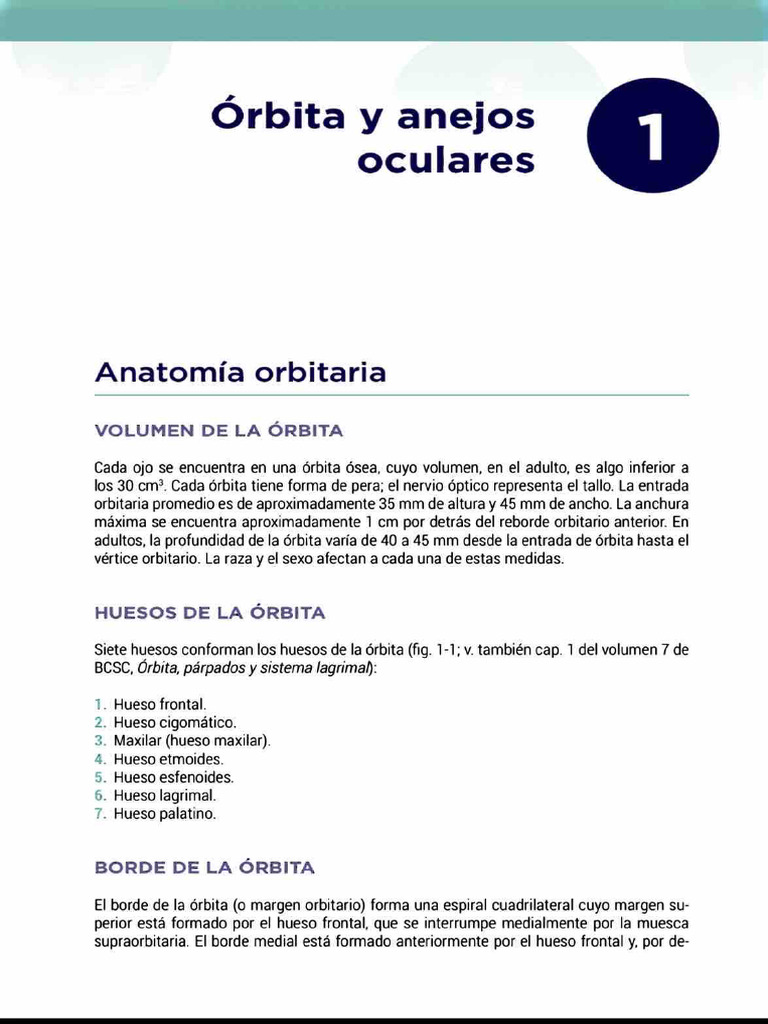 Anatomía ojo | PDF | Anatomía de los primates | Otorrinolaringología