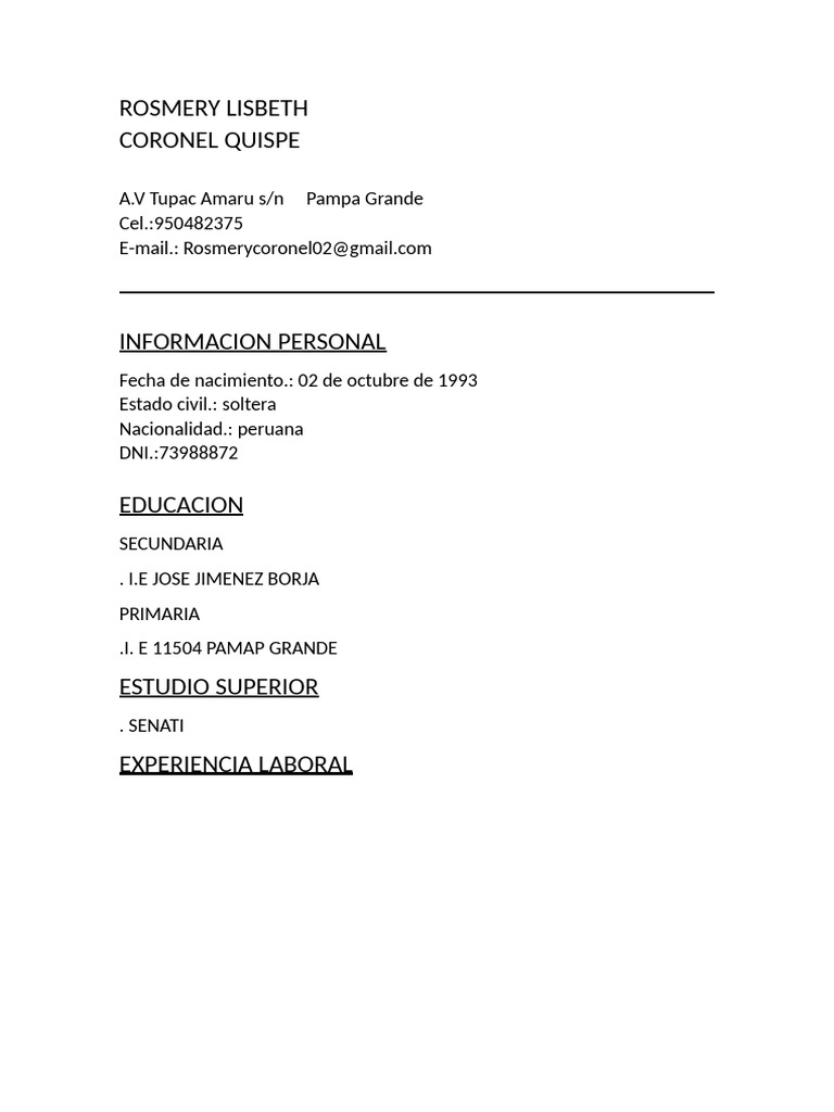 CV Rosmery Coronel | PDF