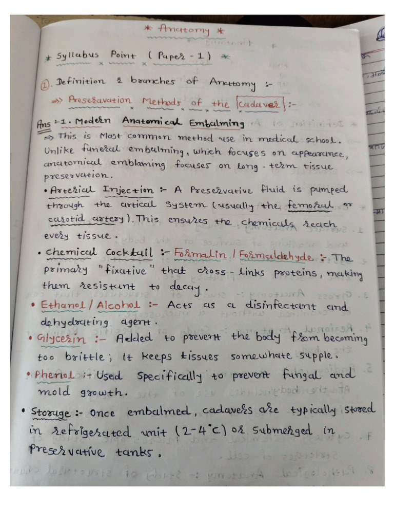 Embryology Handwritten Detailed Notes | PDF