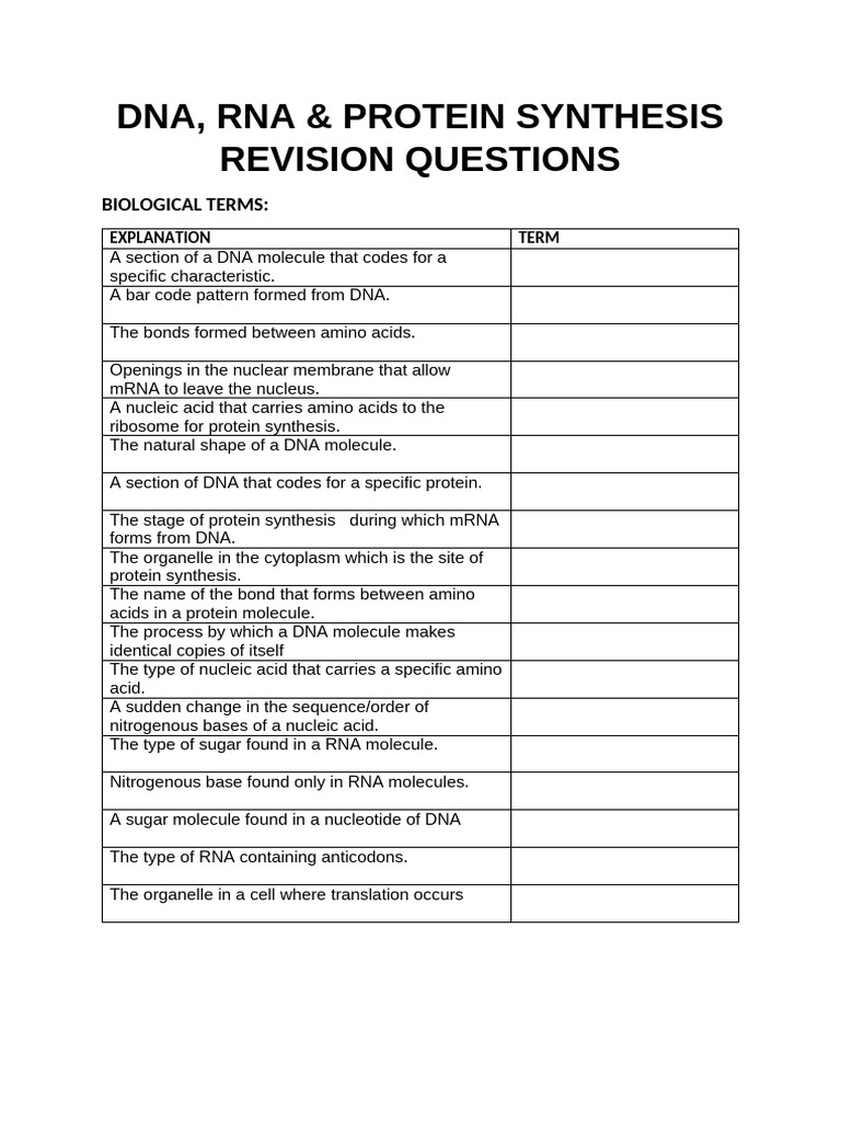 DNA Questions | PDF
