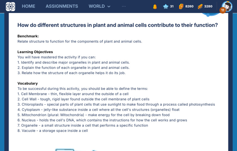 SC.912.L.14.2 Structure and Function of Cell Components (Achieving ...