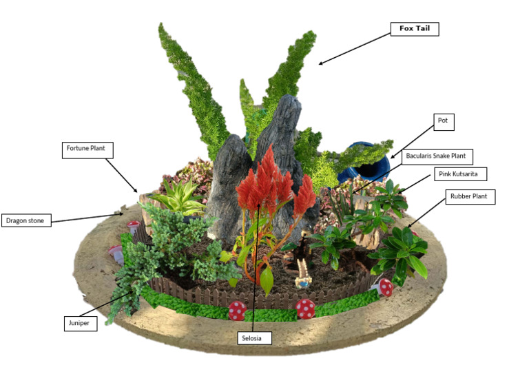 Dish Garden Layout | PDF