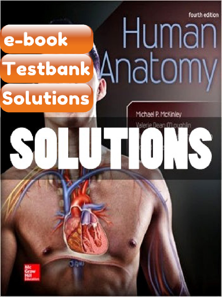 Testbank Solutions Human Anatomy 4 Ed McKinley Fast Download | PDF ...