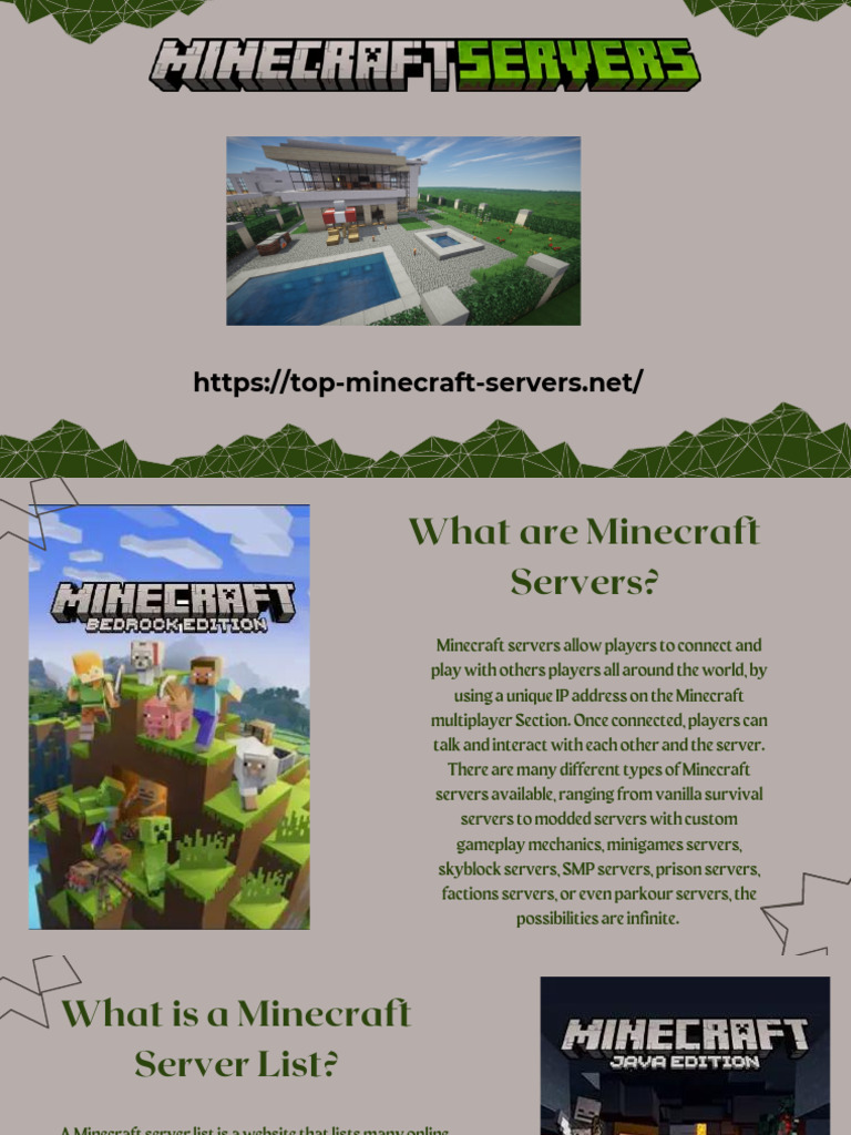 Top Minecraft Server | PDF