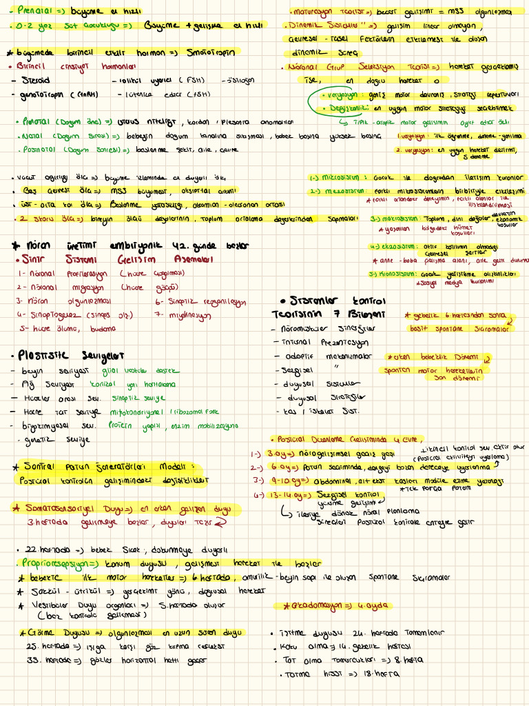 NMG | PDF