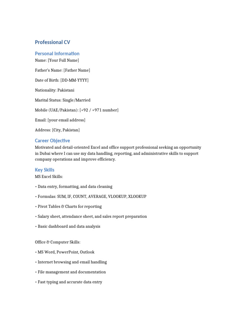 Dubai Excel Job CV | PDF