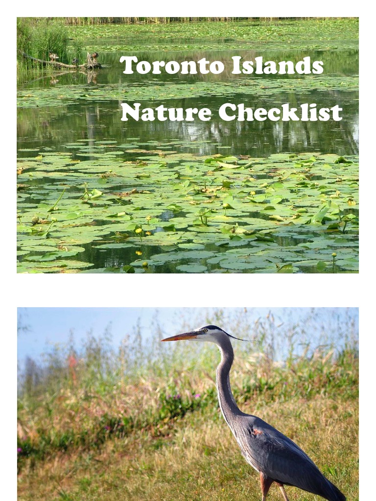 Toronto Islands Nature Checklist | PDF | Frog | Turtle