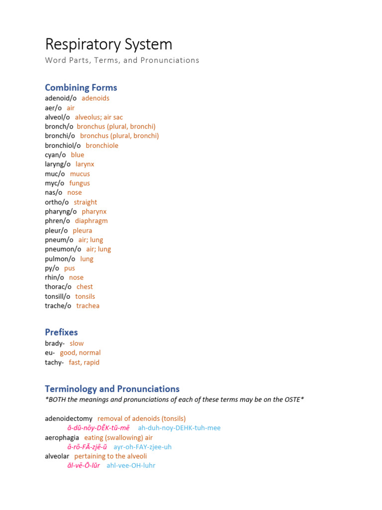 Word List 4 - Respiratory System (KEY) | PDF | Lung | Respiratory Tract