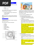 Anatomía de la Región Ciliar | PDF | Fluido cerebroespinal | Sistema ...