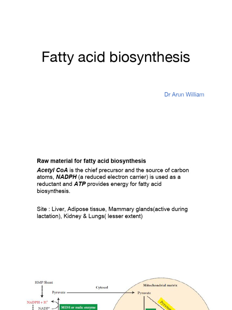 Fatty Acid Biosynthesis-20260112202602 | PDF