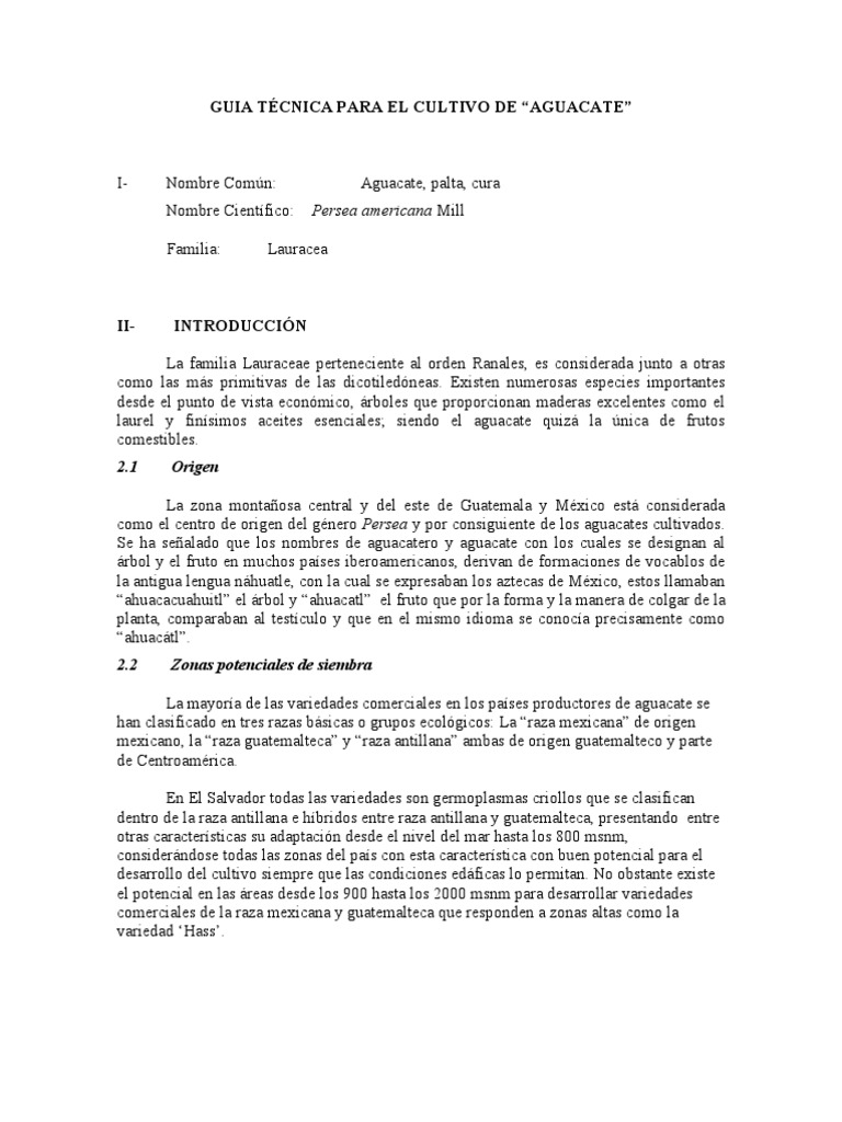 Guía Técnica Del Cultivo de Aguacate | PDF | Aguacate | Clima