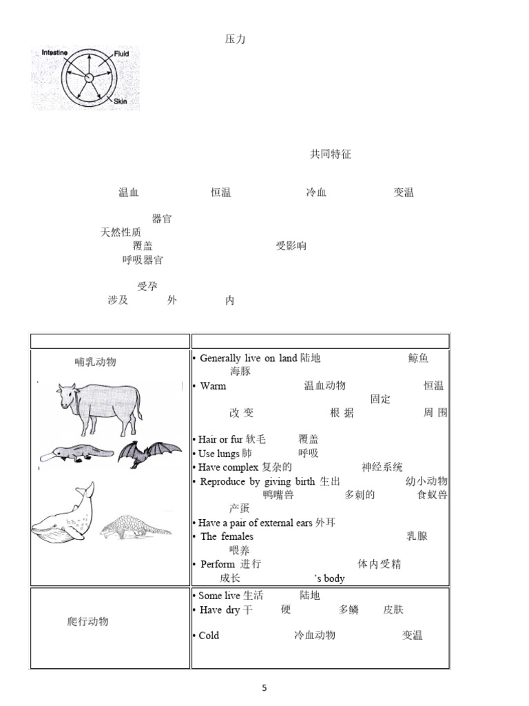 Form 2 Science Printable Note (Ch.1) | PDF | Leaf | Seed