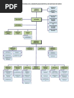Organigrama AMDC | PDF | Concejal | Alcalde