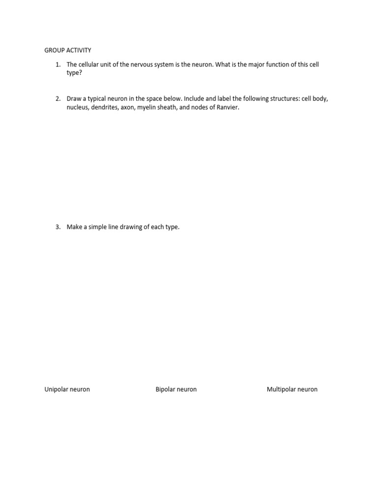 Anatomy and Physiology Nervous System | PDF | Neuron | Action Potential