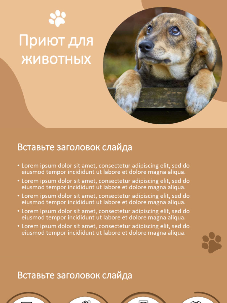 Priyut Dlya Givotnih | PDF