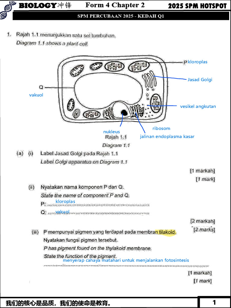 2025 SPM Trial Bio Form 4 Student | PDF