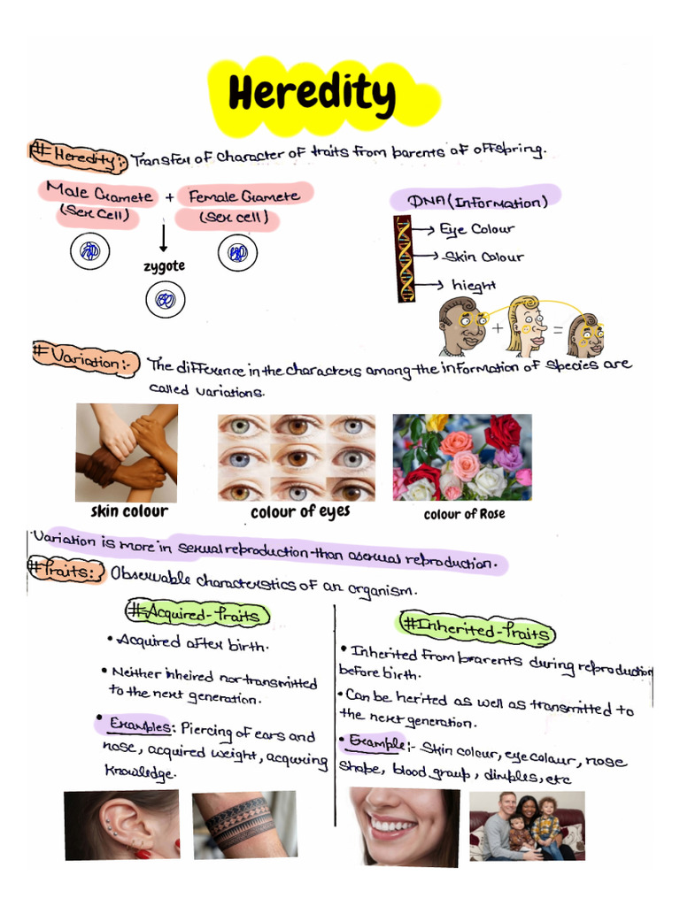 Heredity Handwritten Notes | PDF