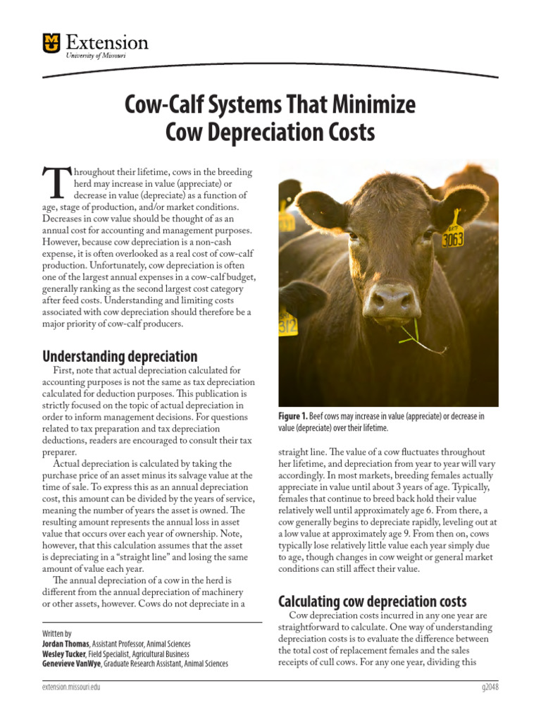 Cow-calf Systems That Minimize Cow Depreciation Costs | PDF ...